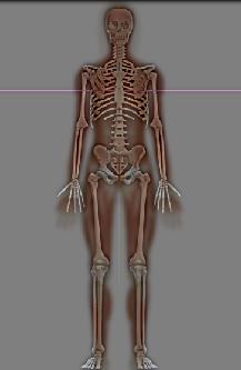 Stephanie Claudino Daffara| CS 194